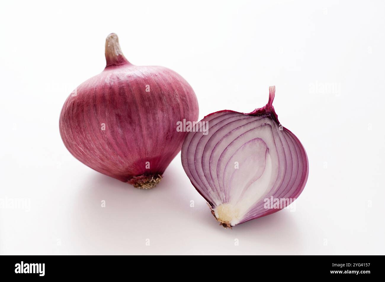 Section of onion hi-res stock photography and images - Alamy