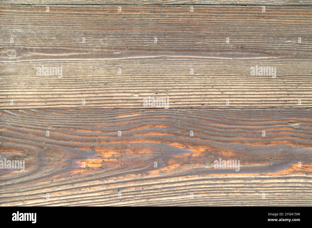 Grain of trees Stock Photo - Alamy