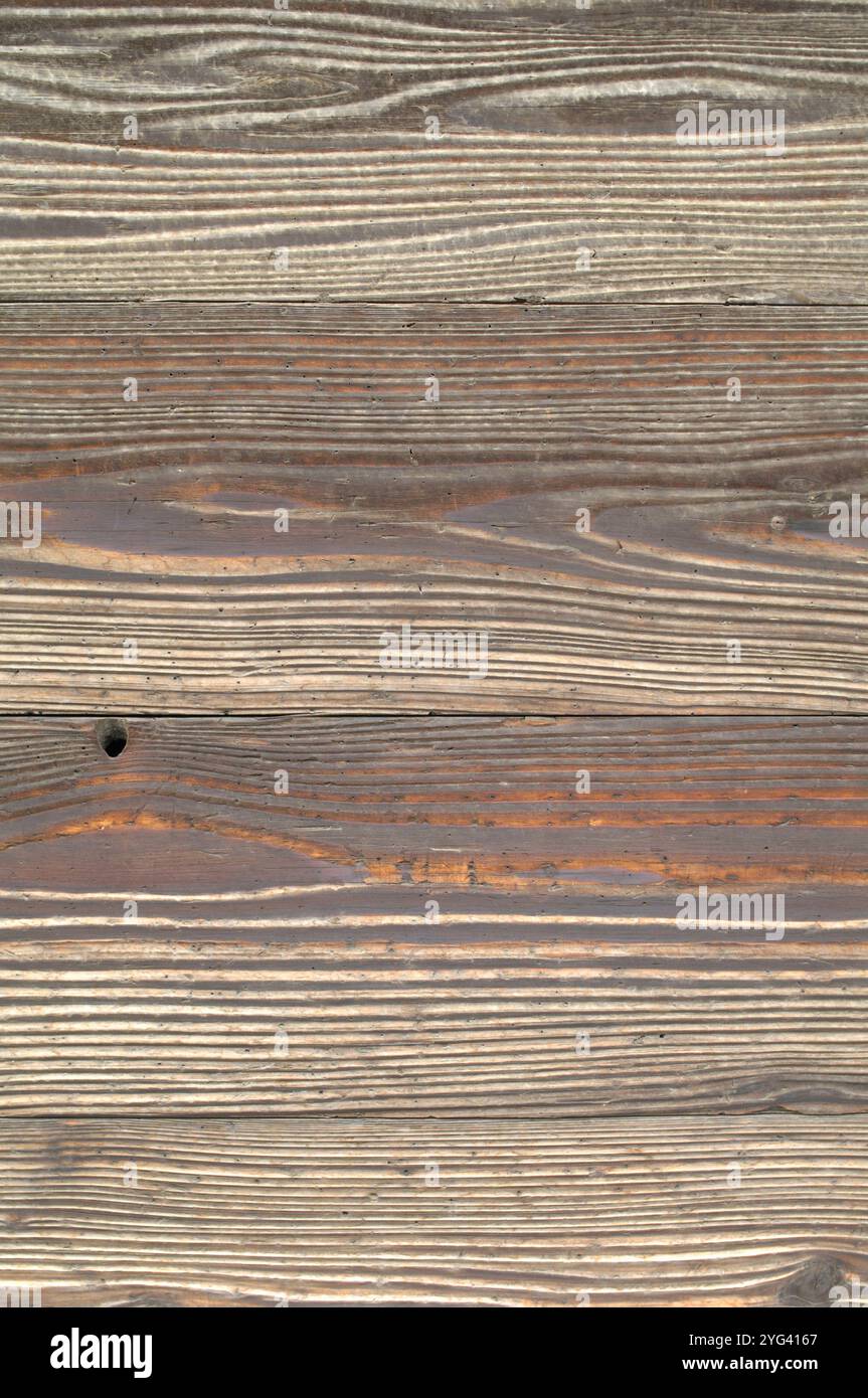 Tree grain hi-res stock photography and images - Alamy