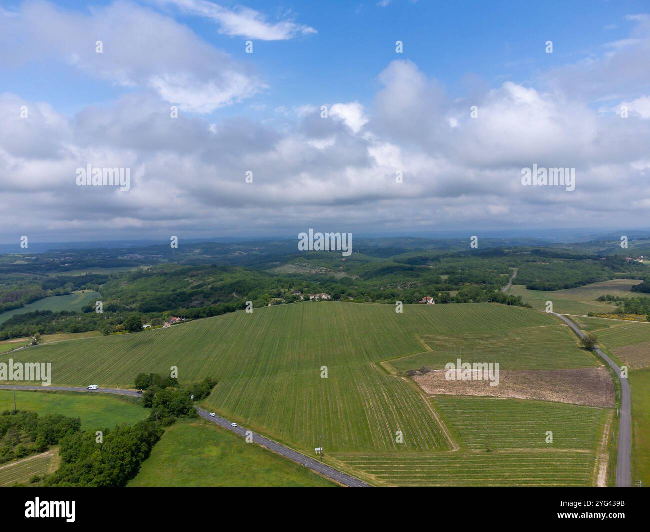 Designation of origin controlled hi-res stock photography and images ...