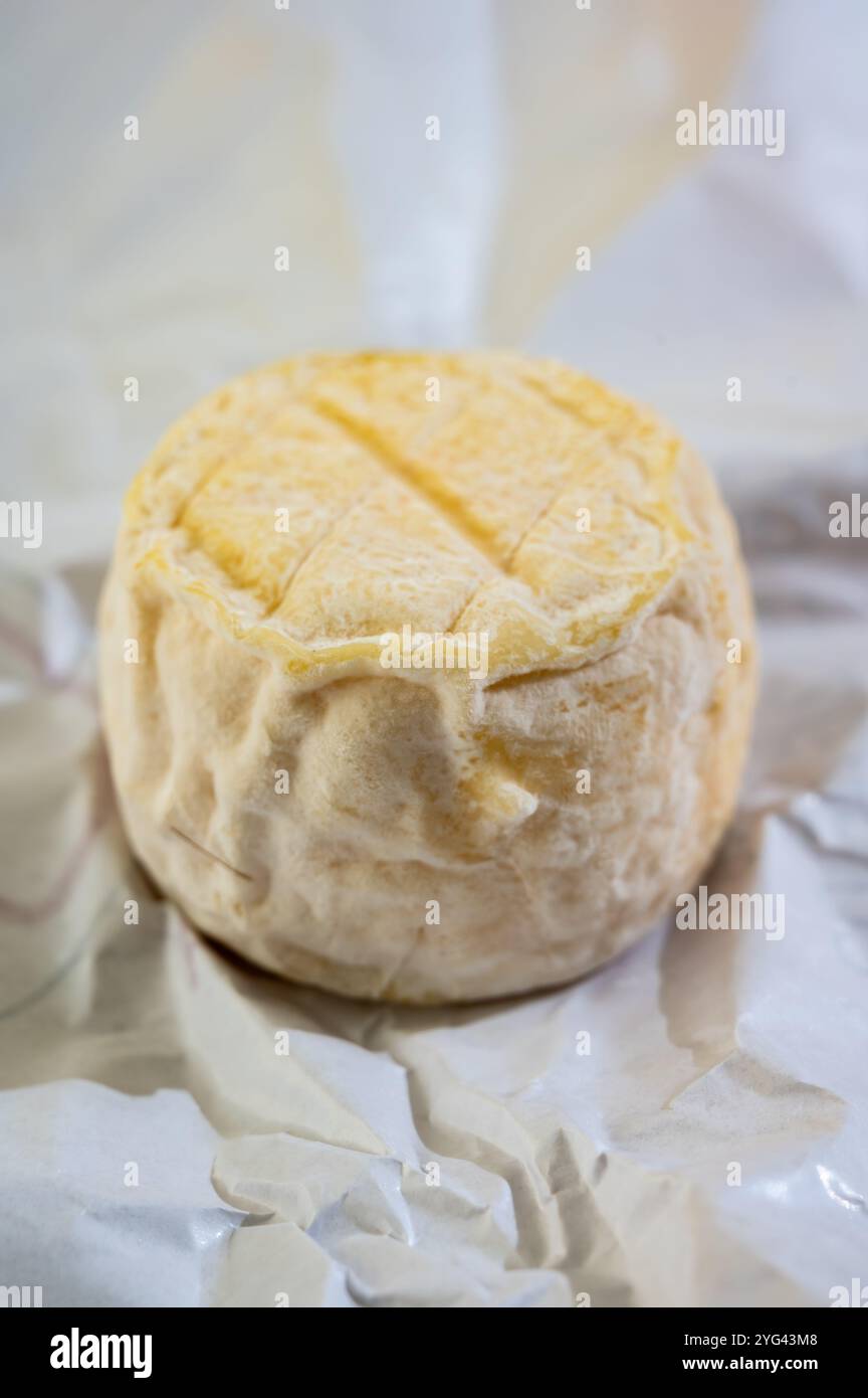 Cheese collection, soft goat French cheese with mold crottin de ...