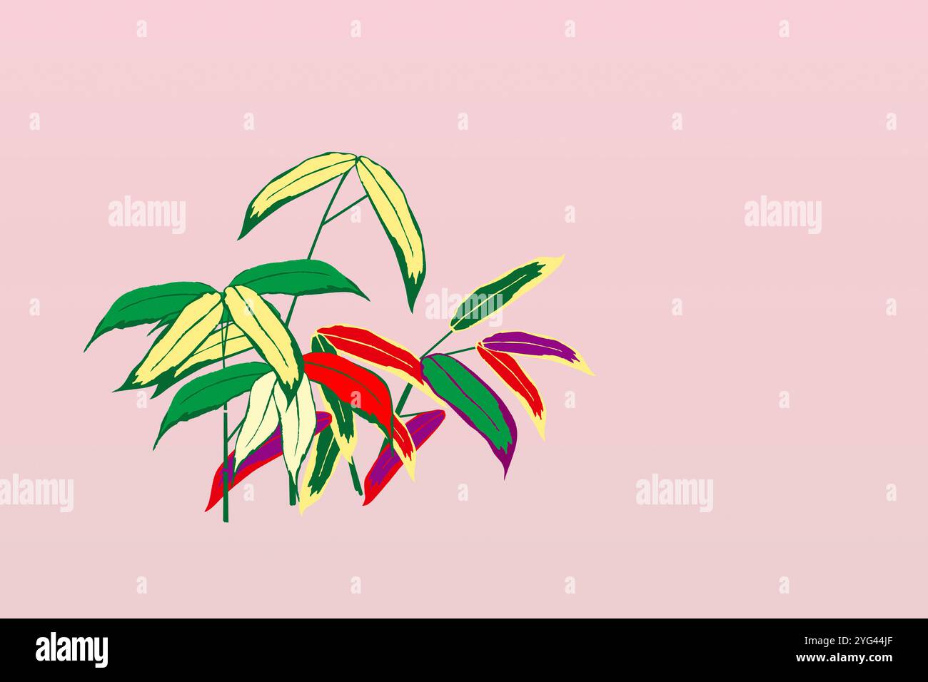Sasa leaves hi-res stock photography and images - Alamy