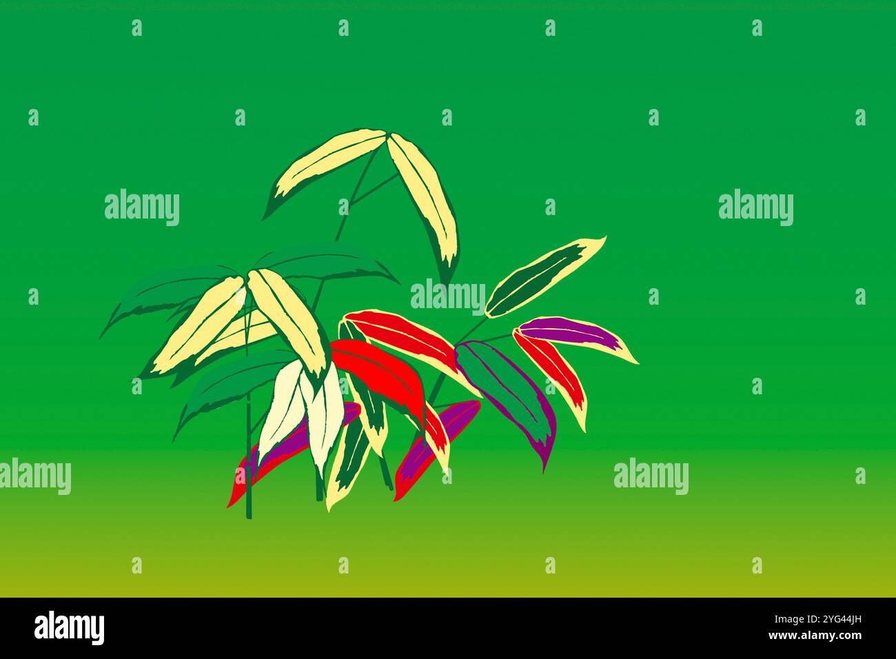 Sasa leaves hi-res stock photography and images - Alamy