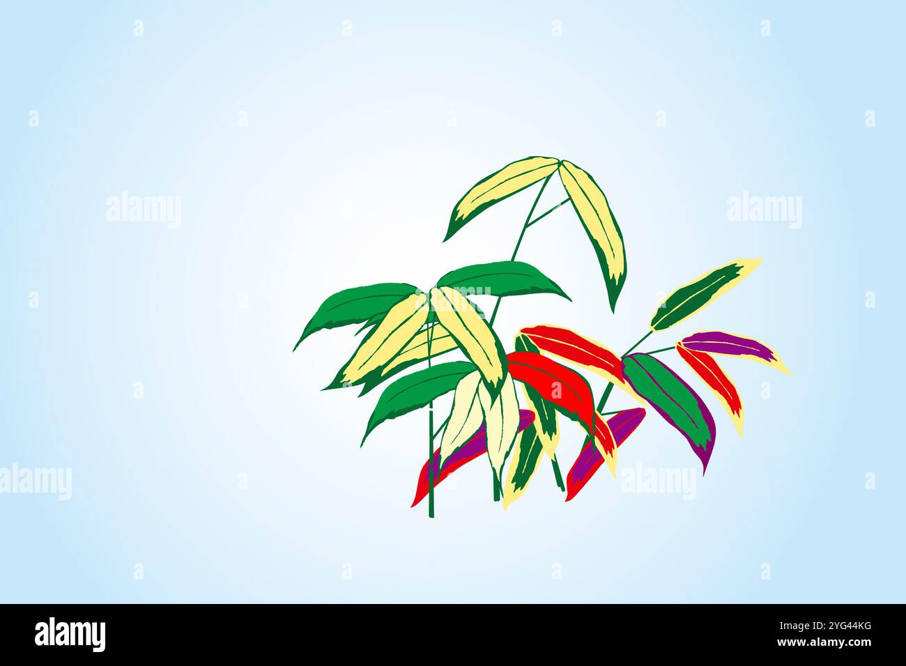Sasa leaves hi-res stock photography and images - Alamy