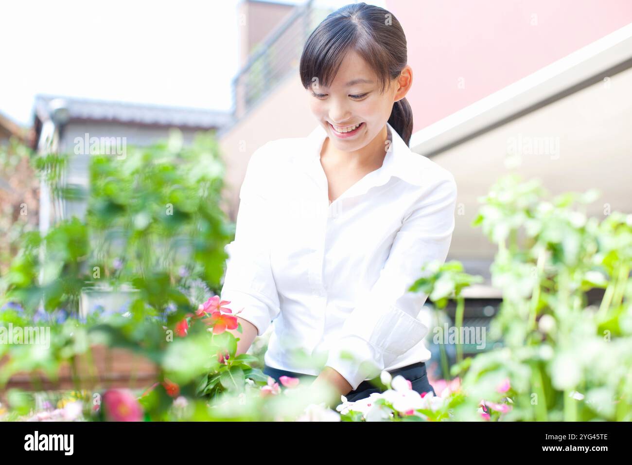 Female flower shop assistant hi-res stock photography and images - Alamy