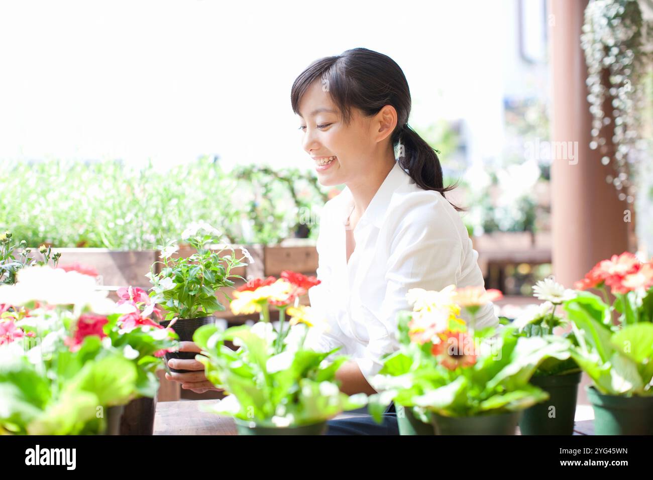 Female florist shop assistant Stock Photo - Alamy