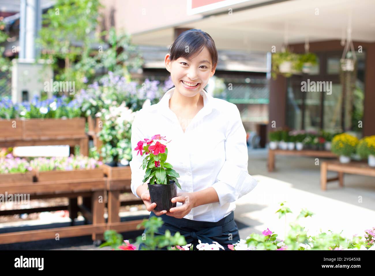 Female florist shop assistant Stock Photo - Alamy