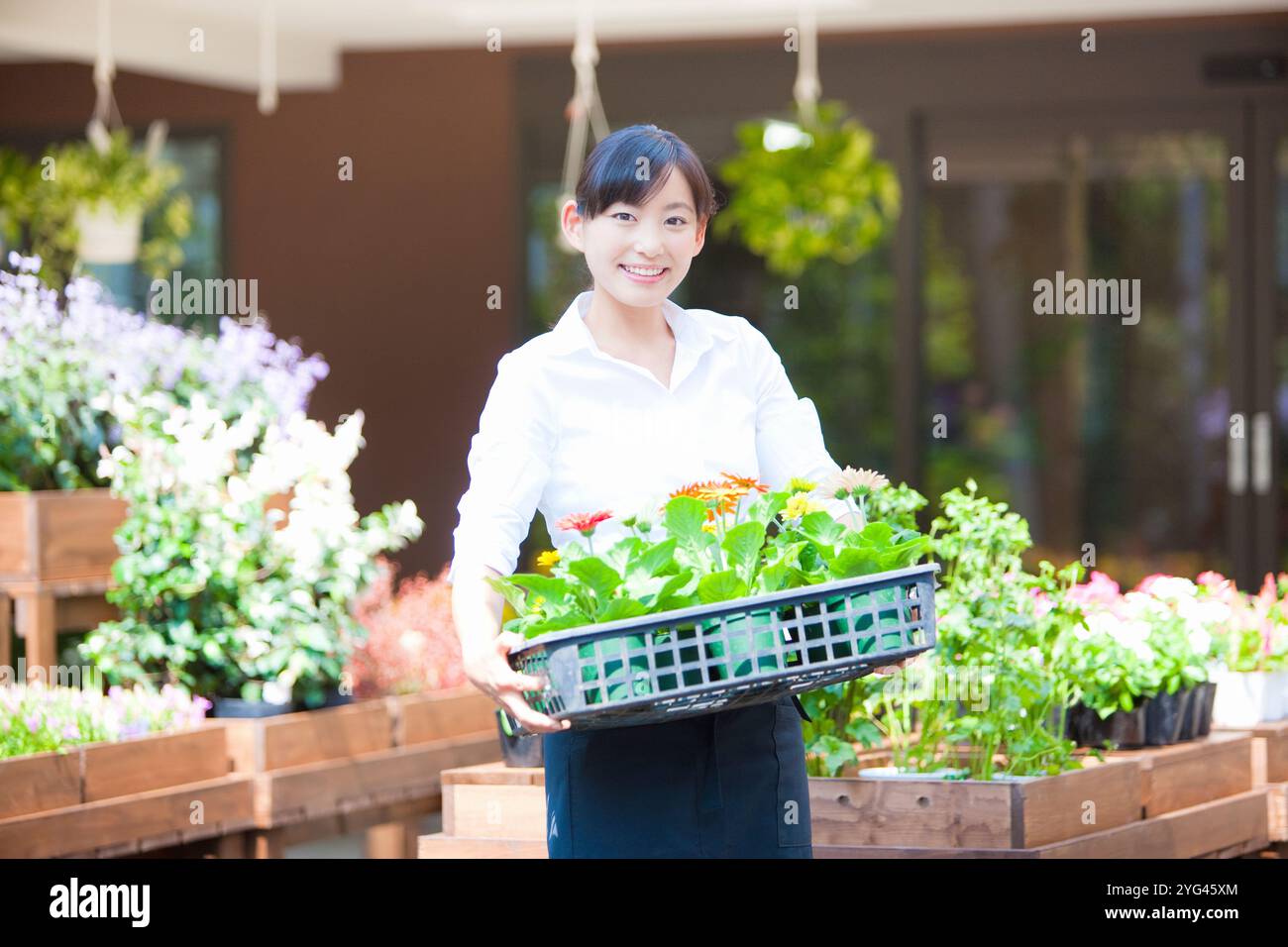 Female florist shop assistant Stock Photo - Alamy