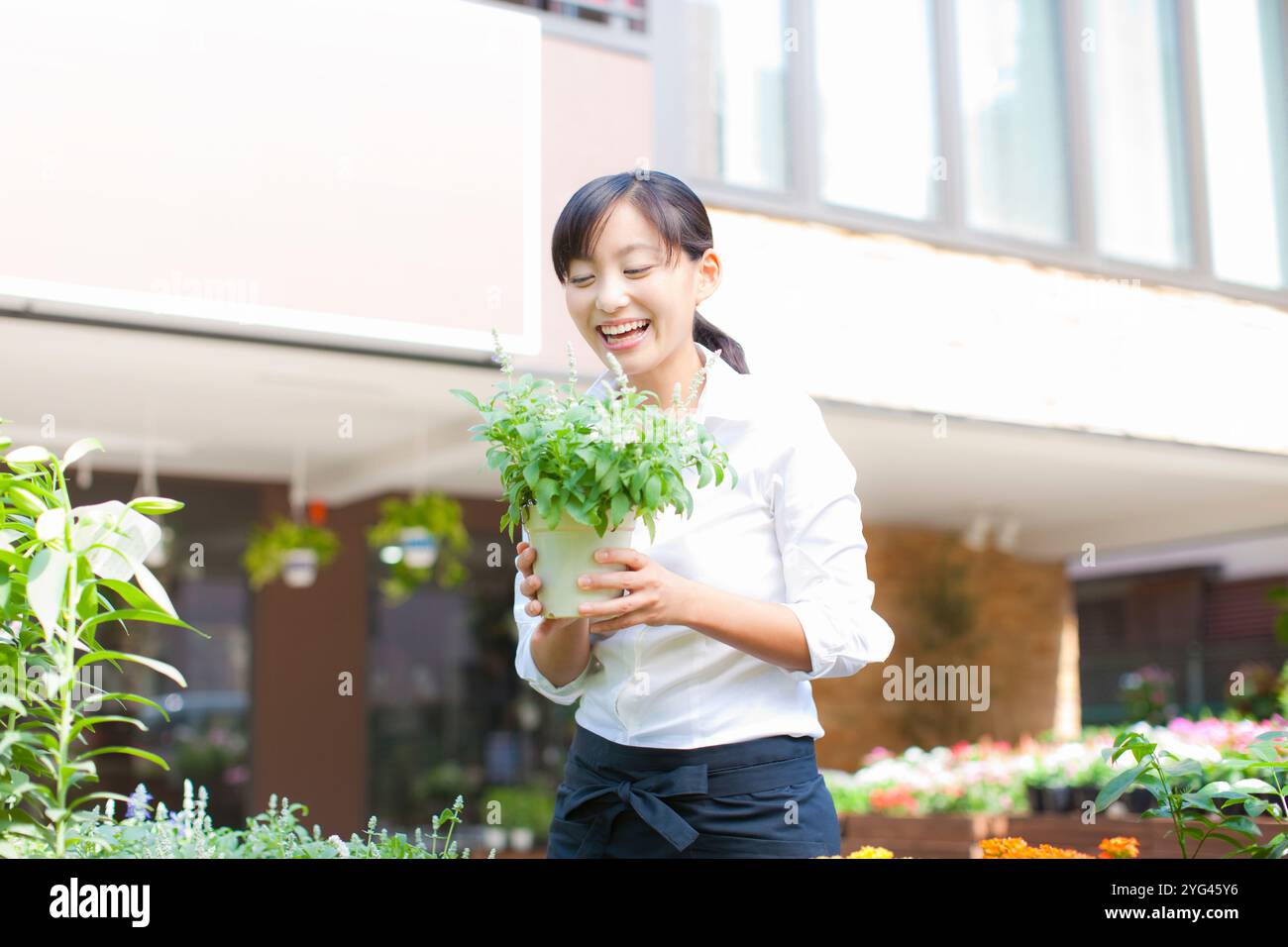 Female florist shop assistant Stock Photo - Alamy