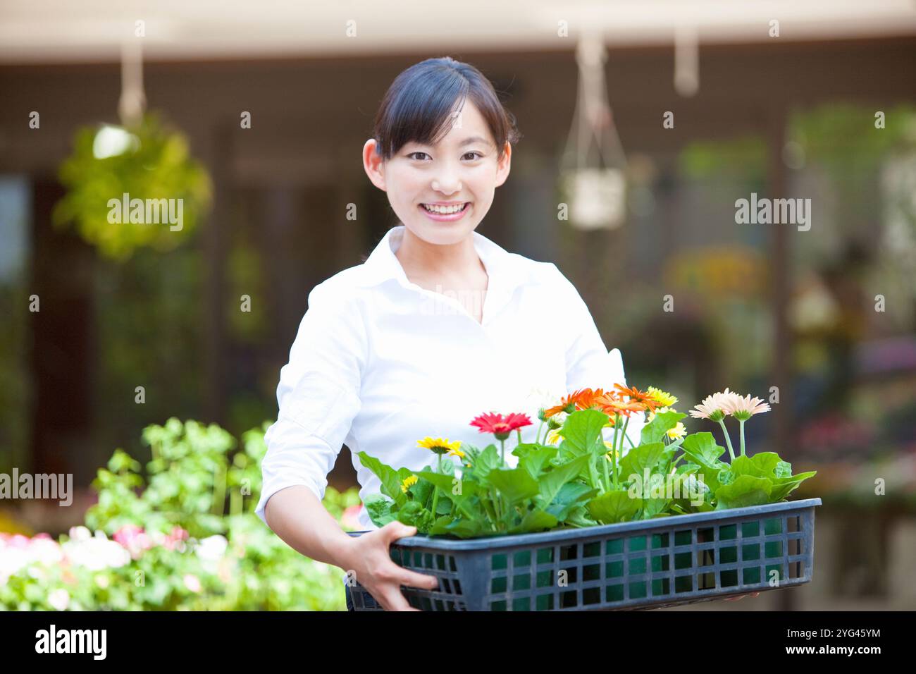 Female florist shop assistant Stock Photo - Alamy
