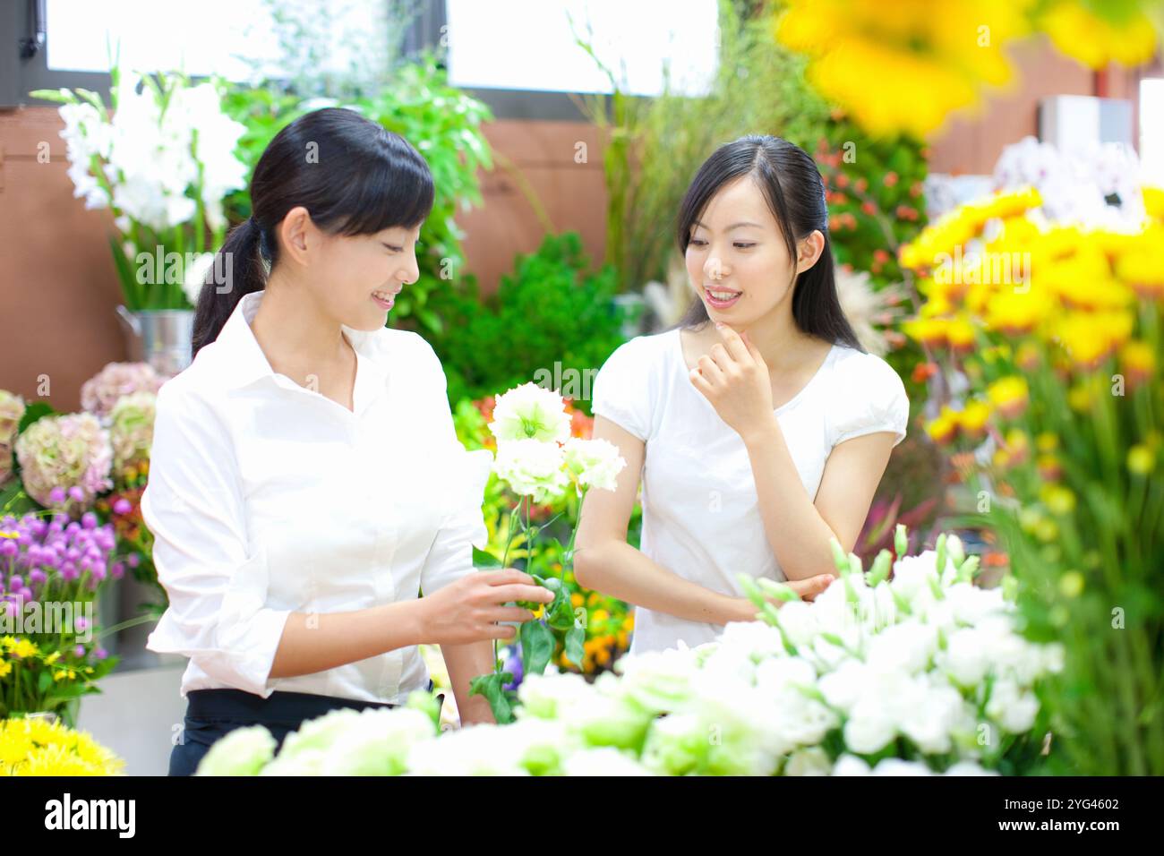 Gift shop assistant hi-res stock photography and images - Alamy