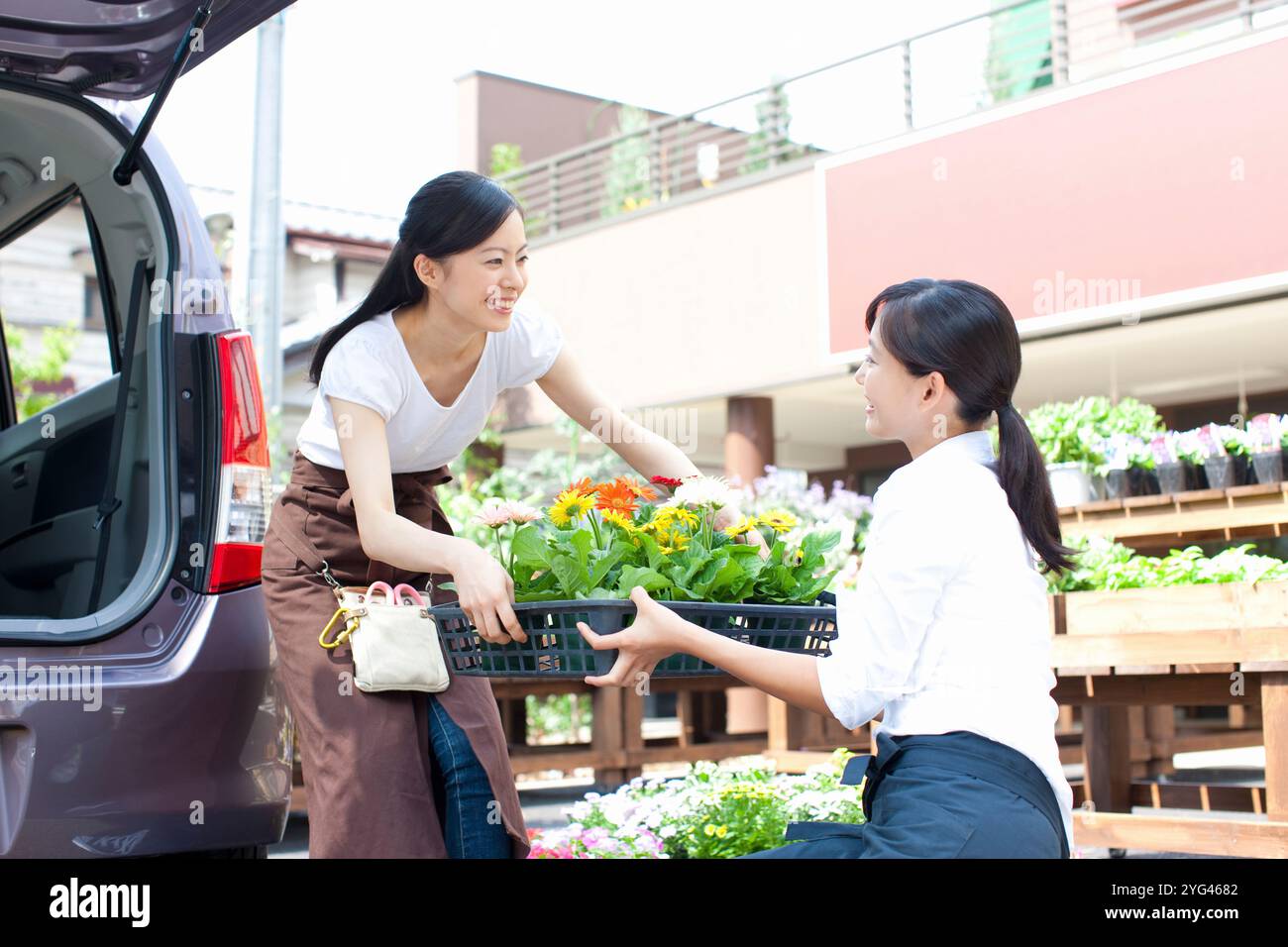 Female florist shop assistant Stock Photo - Alamy