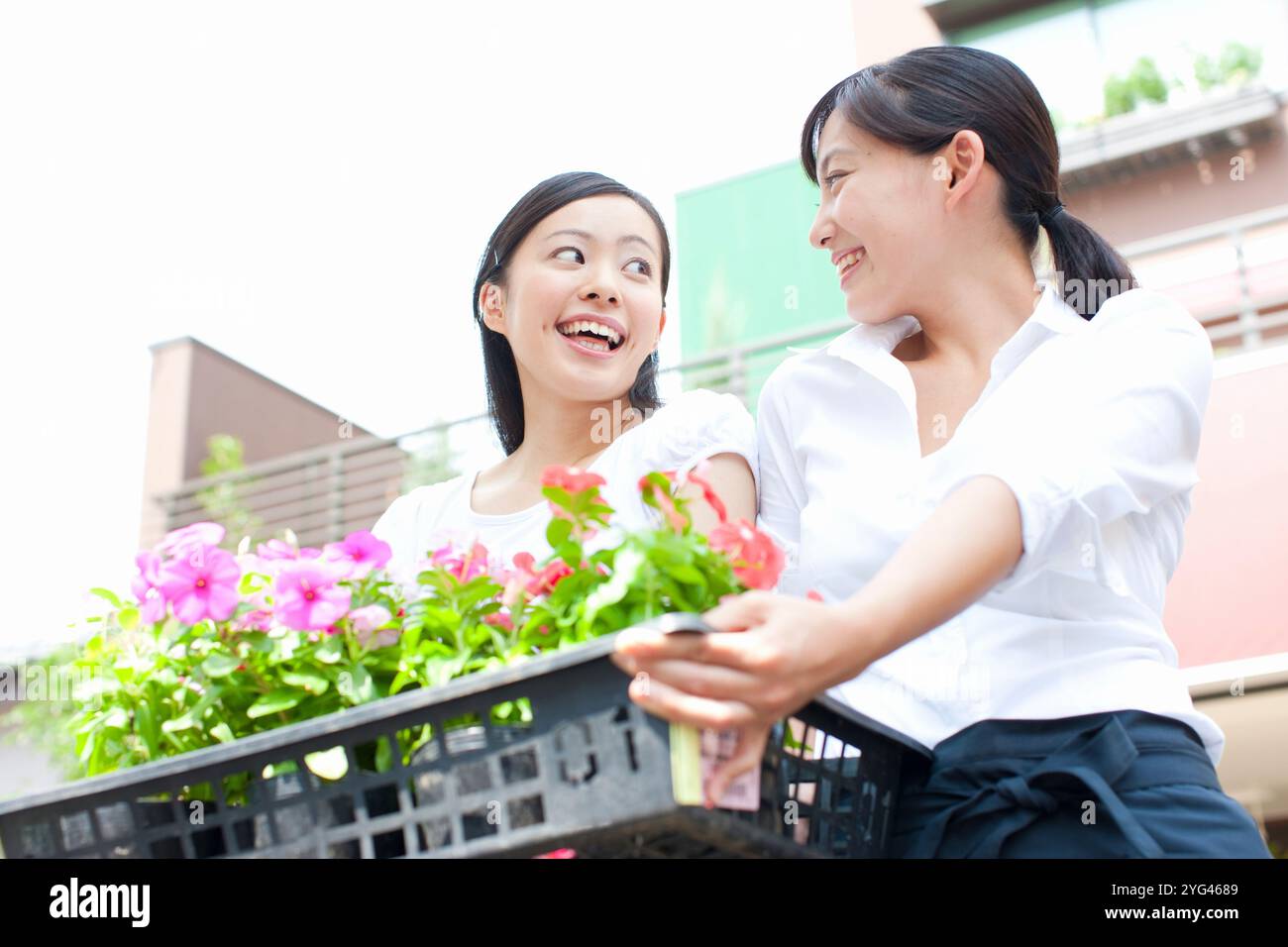 Female florist shop assistant Stock Photo - Alamy