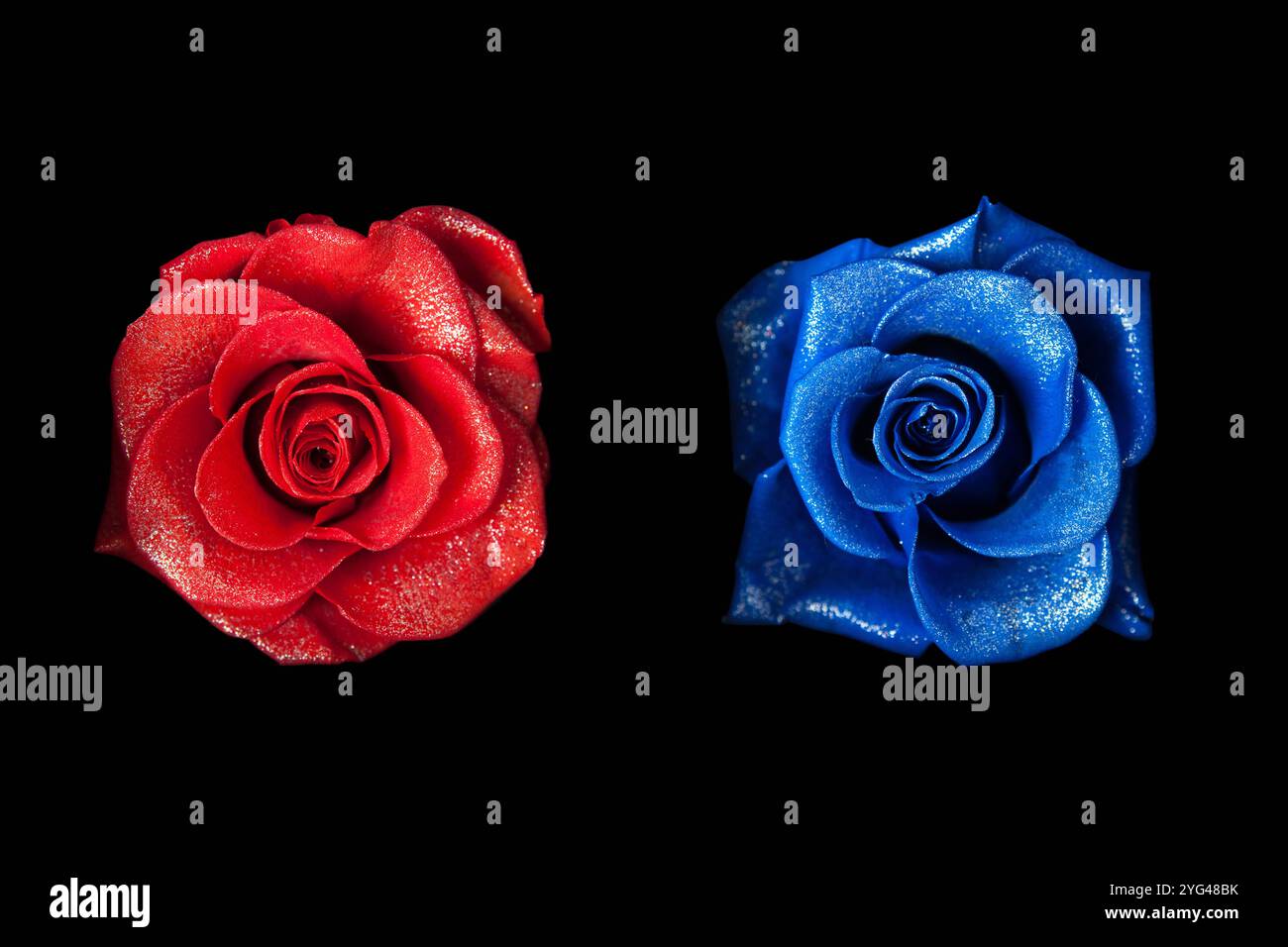Rose flower arrangement image hi-res stock photography and images - Alamy