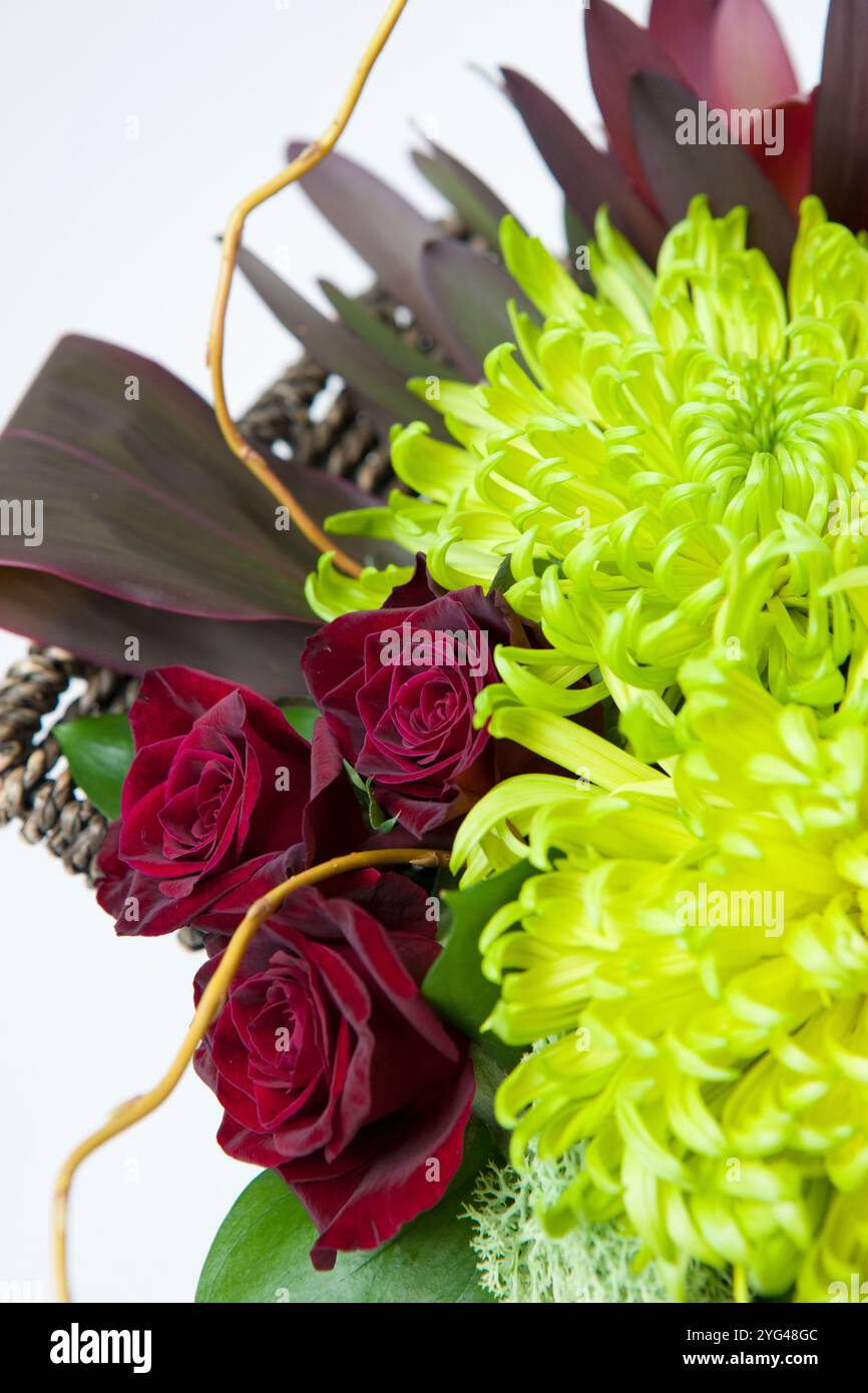 Decorative plant arrangements hi-res stock photography and images - Alamy