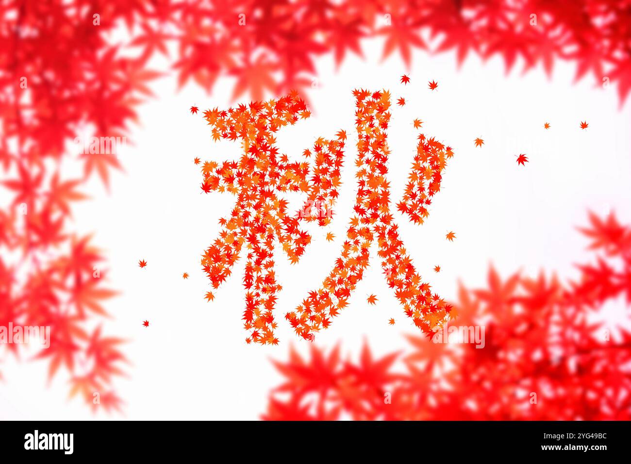 Momiji (Japanese maple tree Stock Photo - Alamy