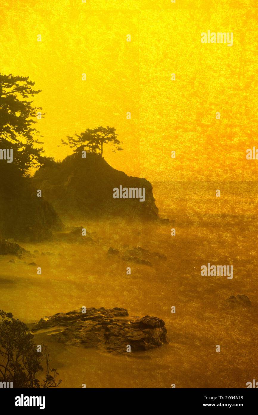 Katsura hama hi-res stock photography and images - Alamy