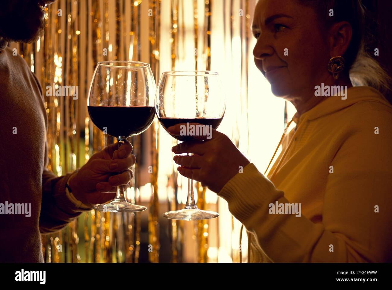 Beautiful family having christmas dinner hi-res stock photography and ...