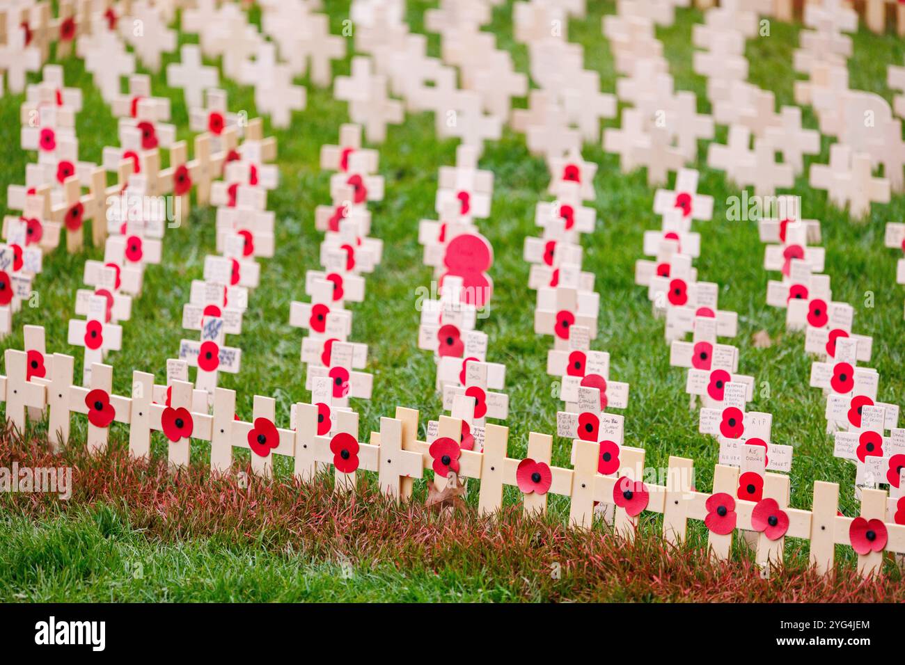 Opening of the remembrance poppy field at the National Memorial ...