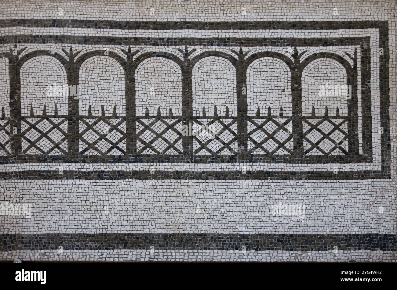 Roman mosaic. Black and white. National Roman Museum (Baths of ...