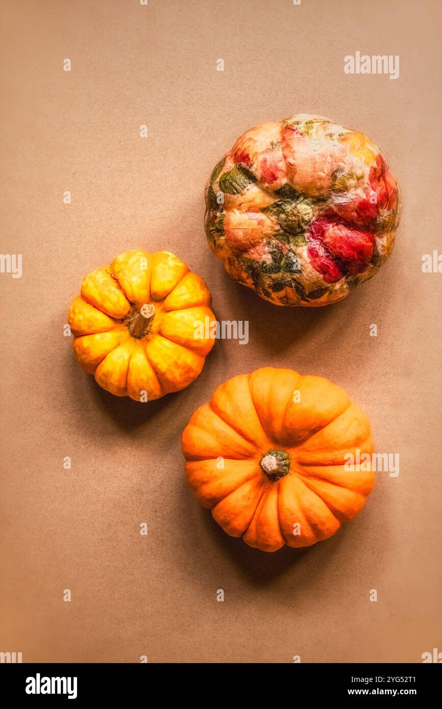 Halloween pumpkin still life hi-res stock photography and images - Alamy