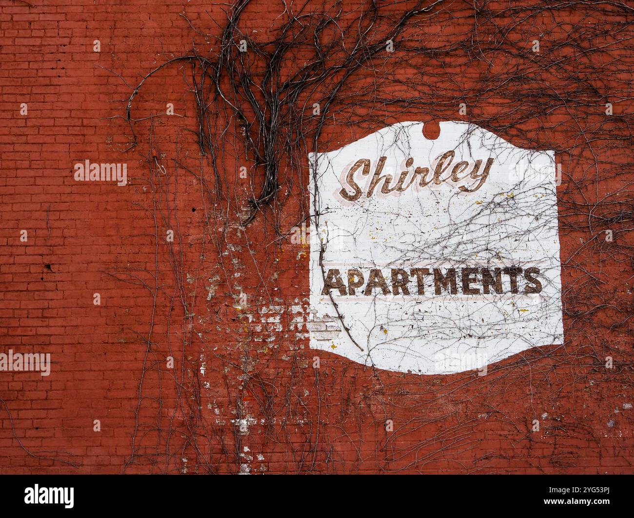 red brick wall with vines and painted sign that says Shirley apartments ...