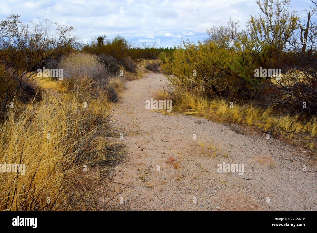Ephemeral dry river hi-res stock photography and images - Alamy
