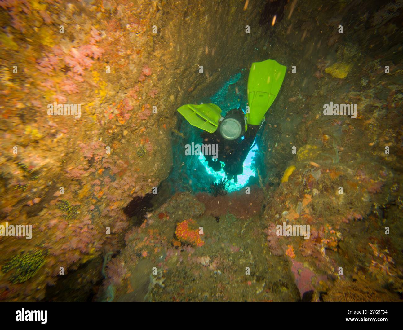 A scuba diver is swimming through a hole in a coral wall that forms a ...