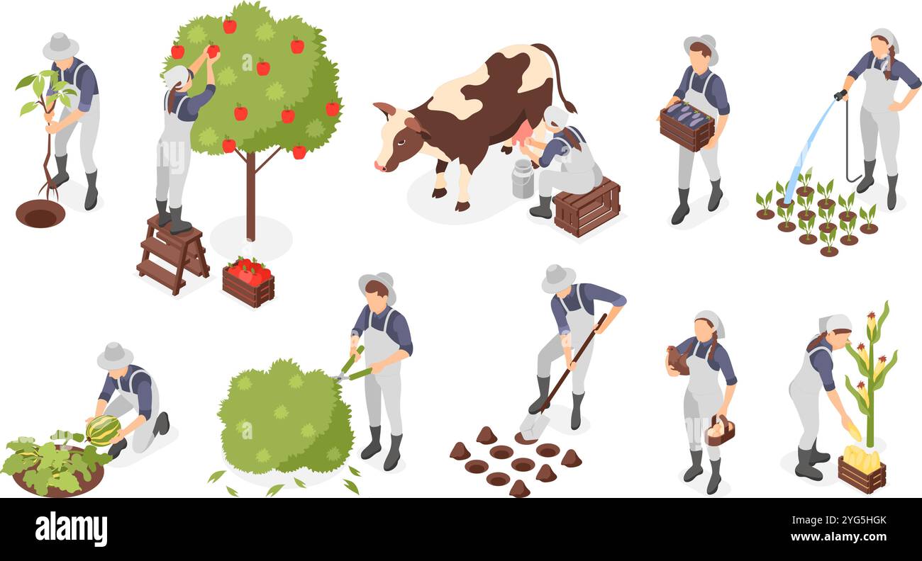 Isometric garden agriculture elements. Farmers collect harvest, fruits ...