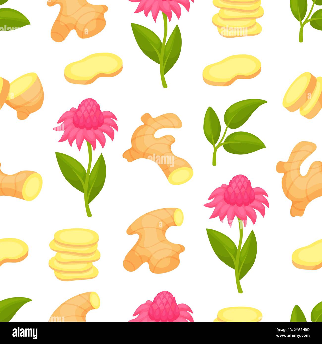 Ginger root fabric Stock Vector Images - Alamy