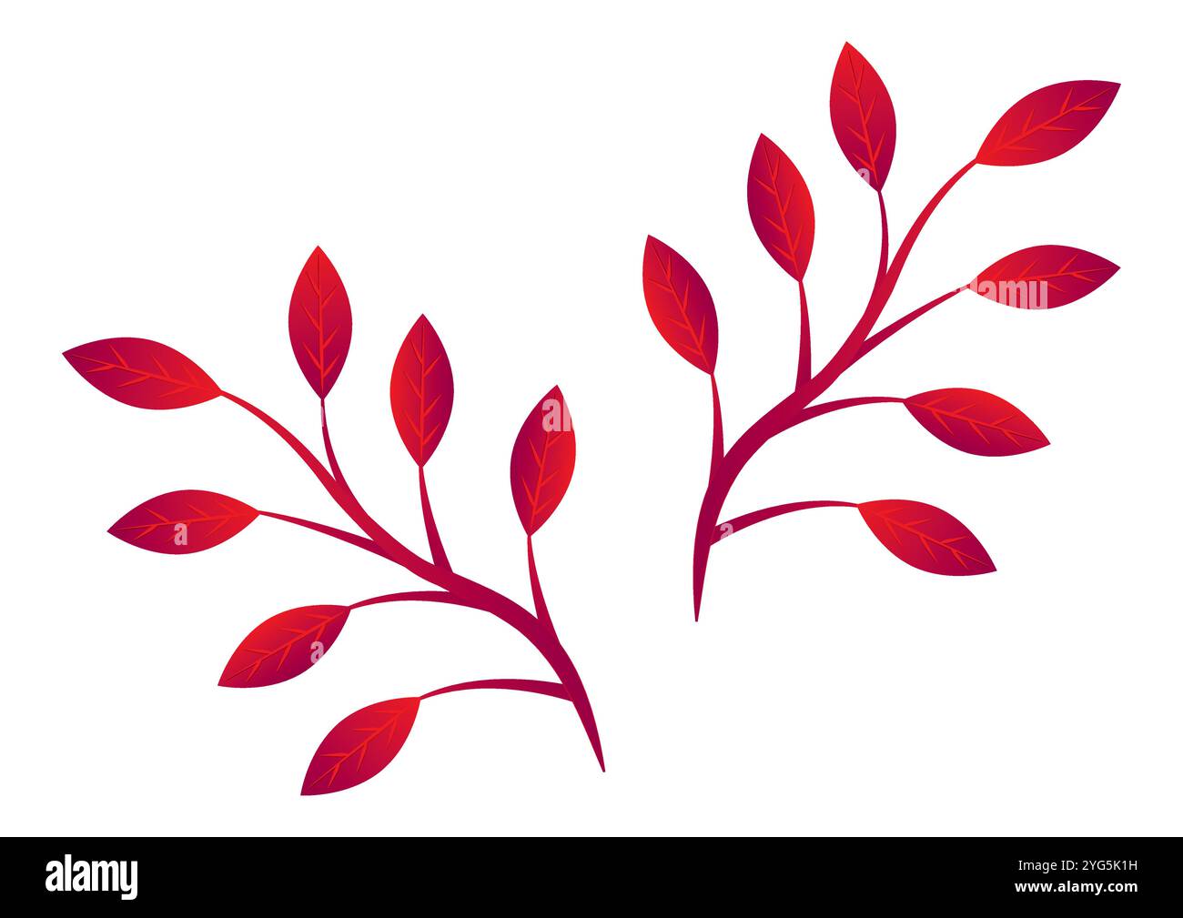 Flat two flower branches Stock Vector Images - Alamy