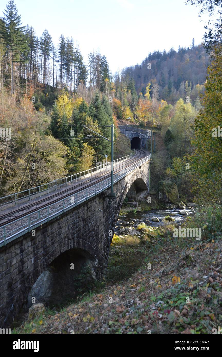 Railroad bridge river Murg in the Black Forest Germany Stock Photo - Alamy