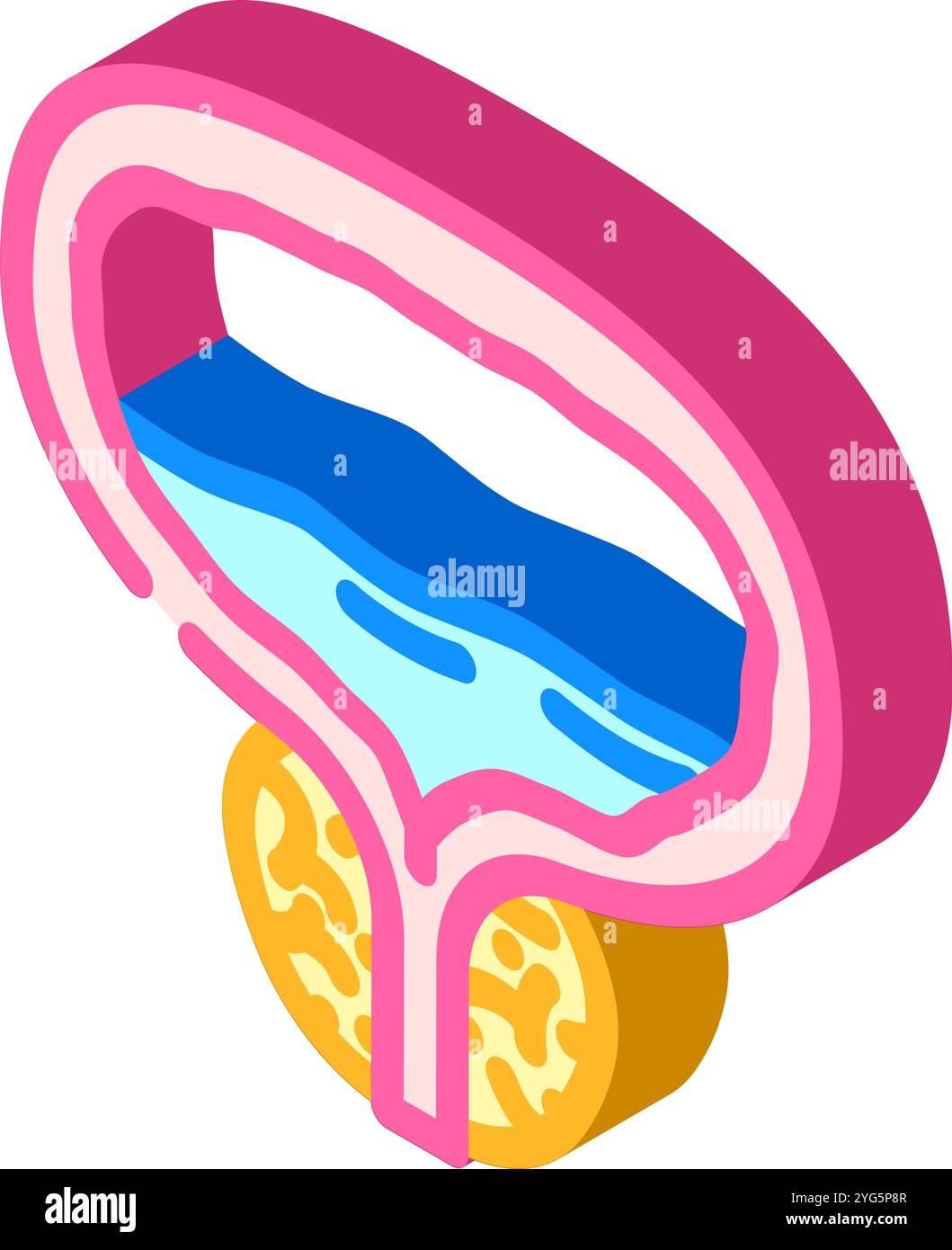 prostate health man disease isometric icon vector illustration Stock ...