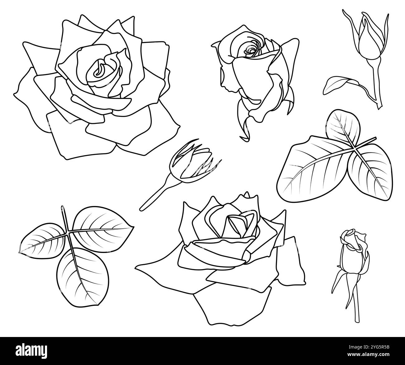 Simple flower shapes petals hi-res stock photography and images - Alamy
