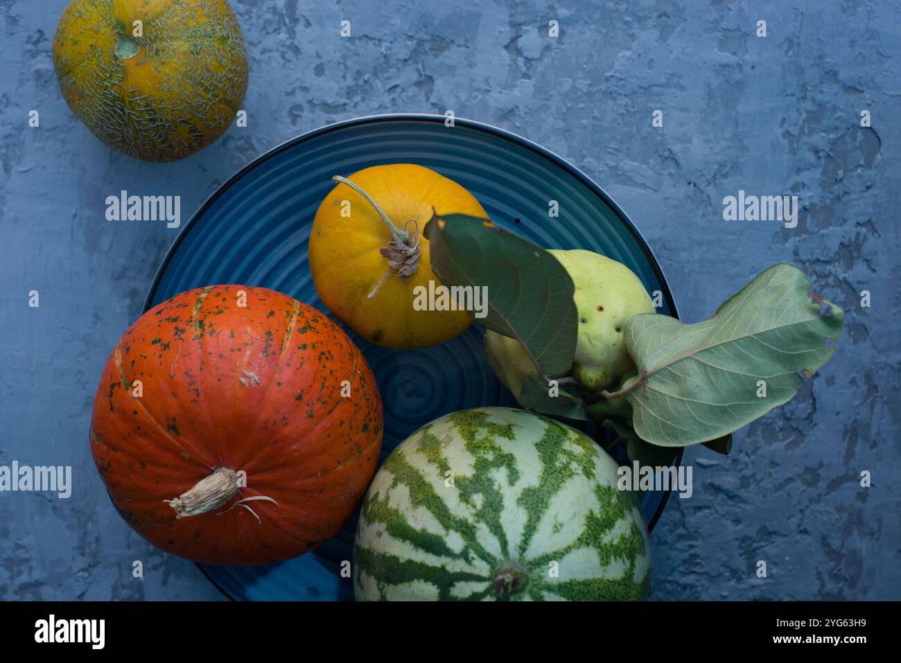 autumn still life pumpkin in dramatic style Stock Photo - Alamy