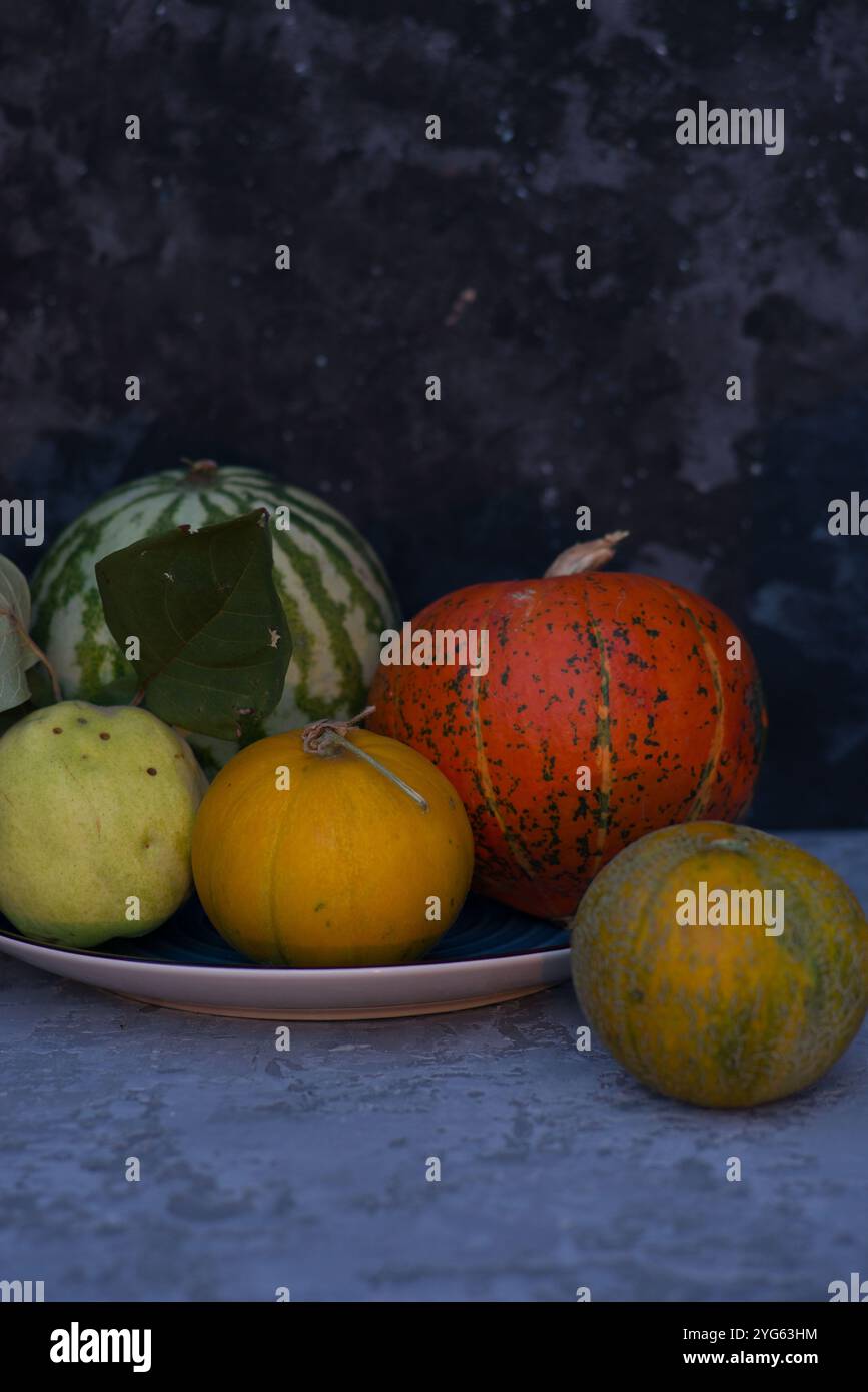 autumn still life pumpkin in dramatic style Stock Photo - Alamy