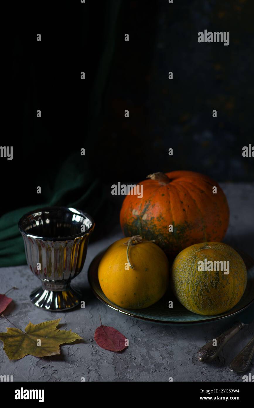 autumn still life pumpkin in dramatic style Stock Photo - Alamy