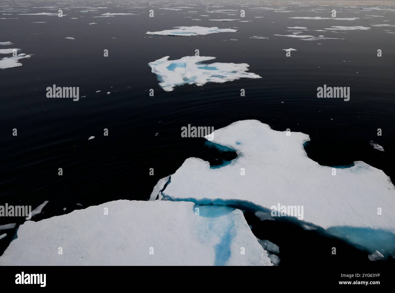 Pack ice north of Svalbard Stock Photo - Alamy