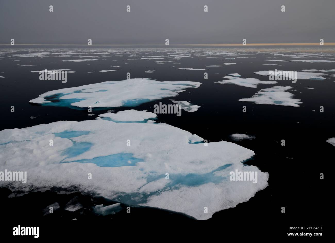 Pack ice north of Svalbard Stock Photo - Alamy