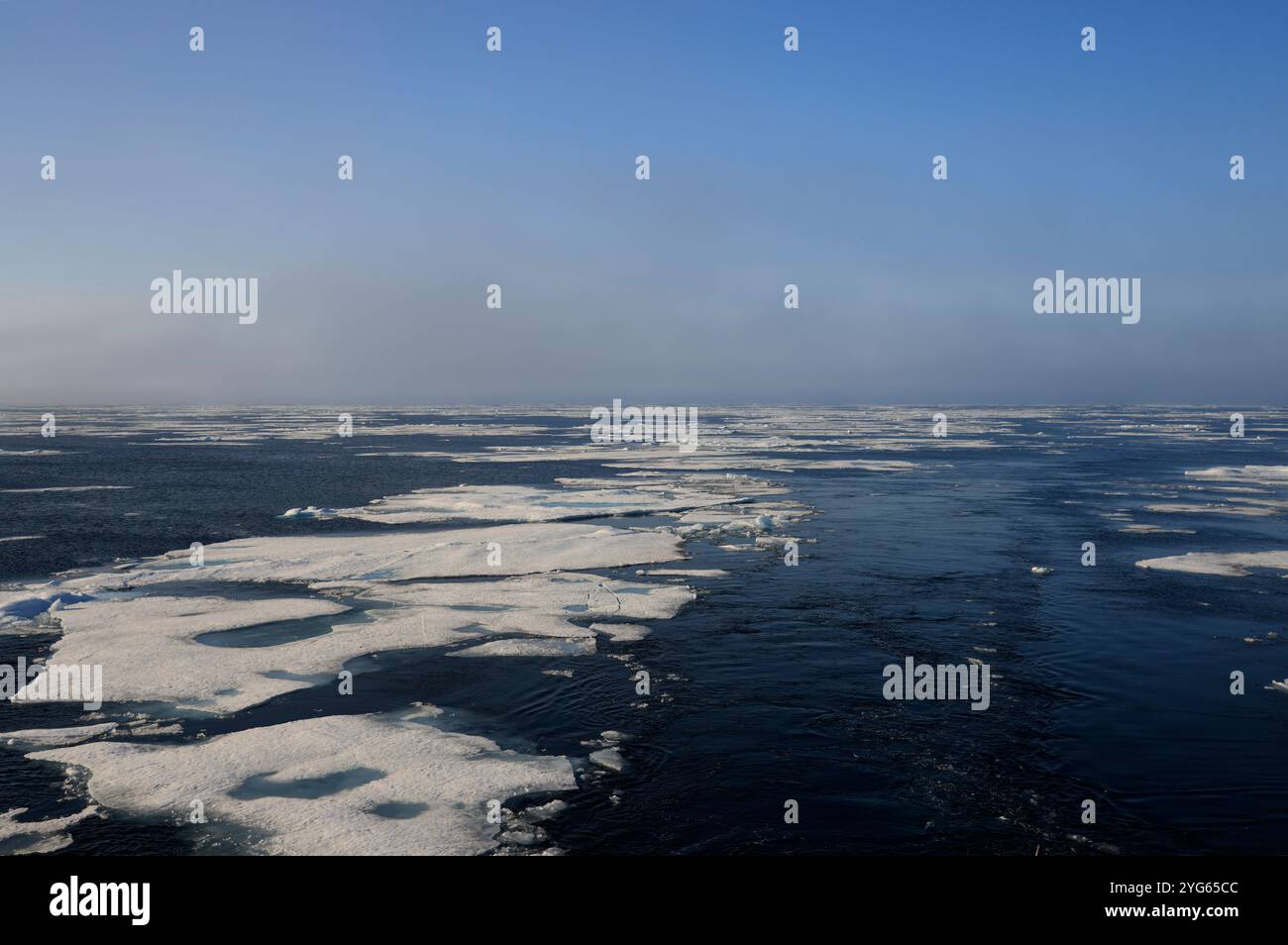 Pack ice north of Svalbard Stock Photo - Alamy