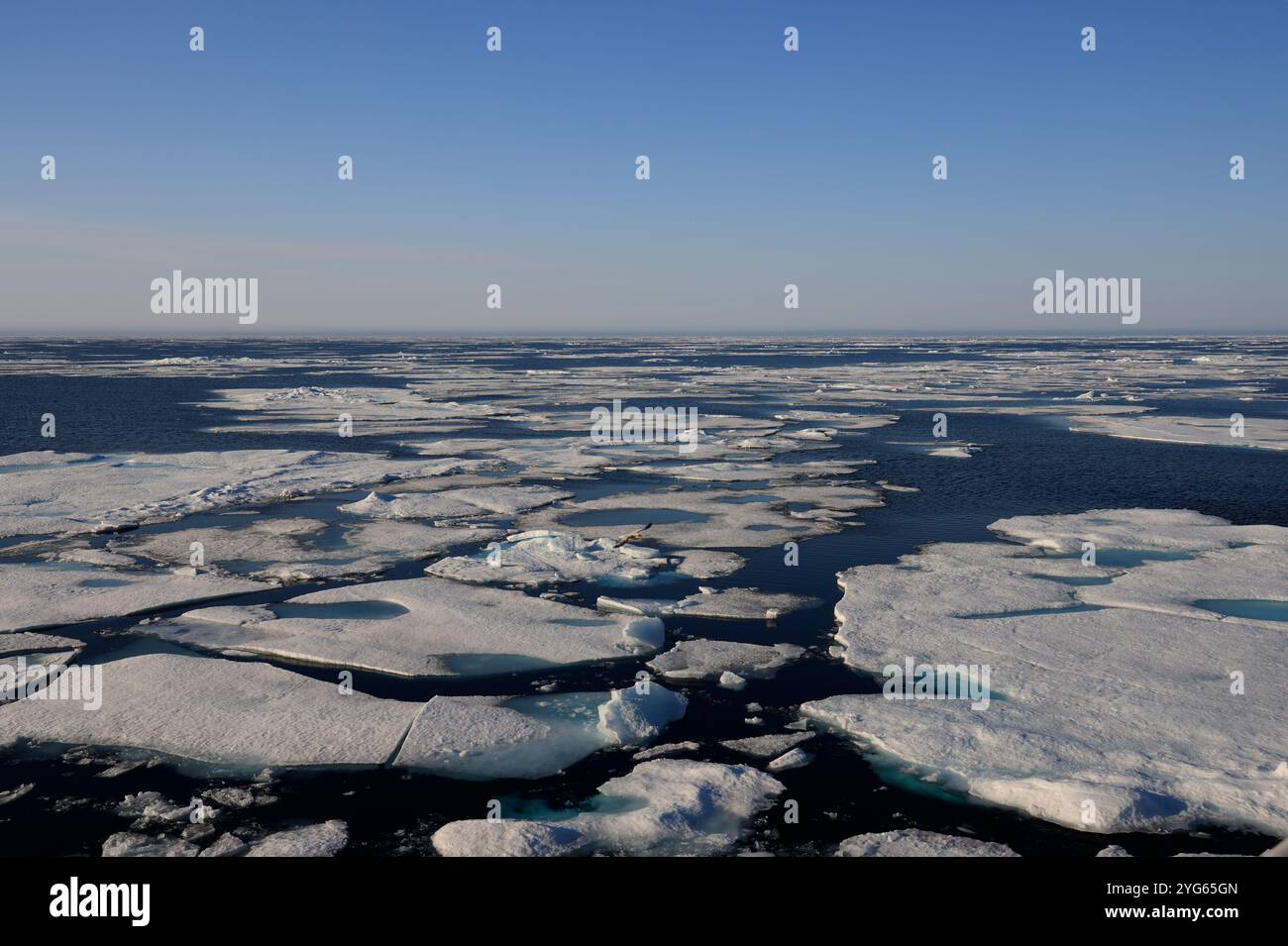 Pack ice north of Svalbard Stock Photo - Alamy