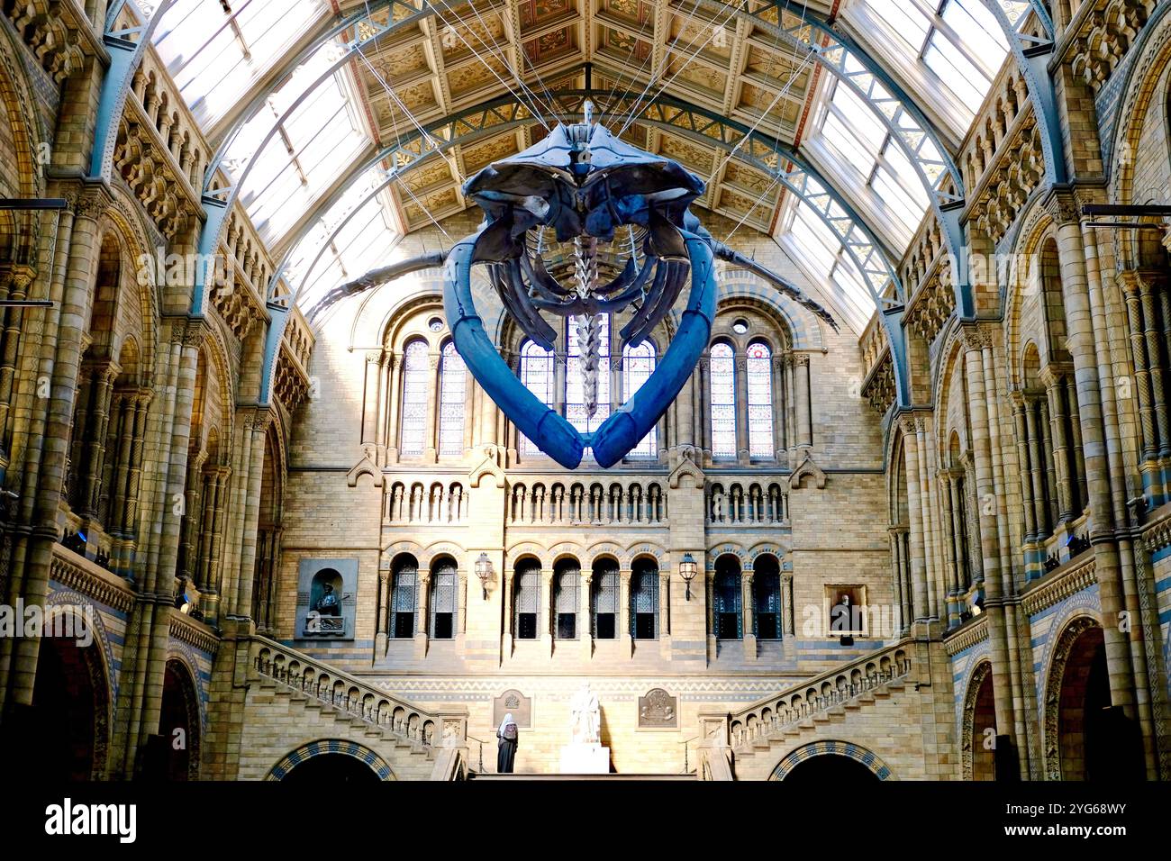A Skeleton Of A Blue Whale Known As Hope Hanging From The Roof Of The