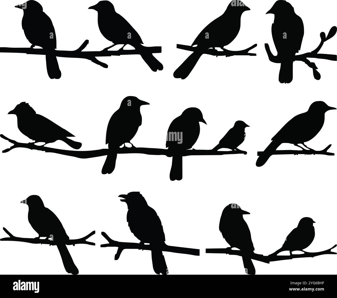 Silhouette group birds on Black and White Stock Photos & Images - Alamy