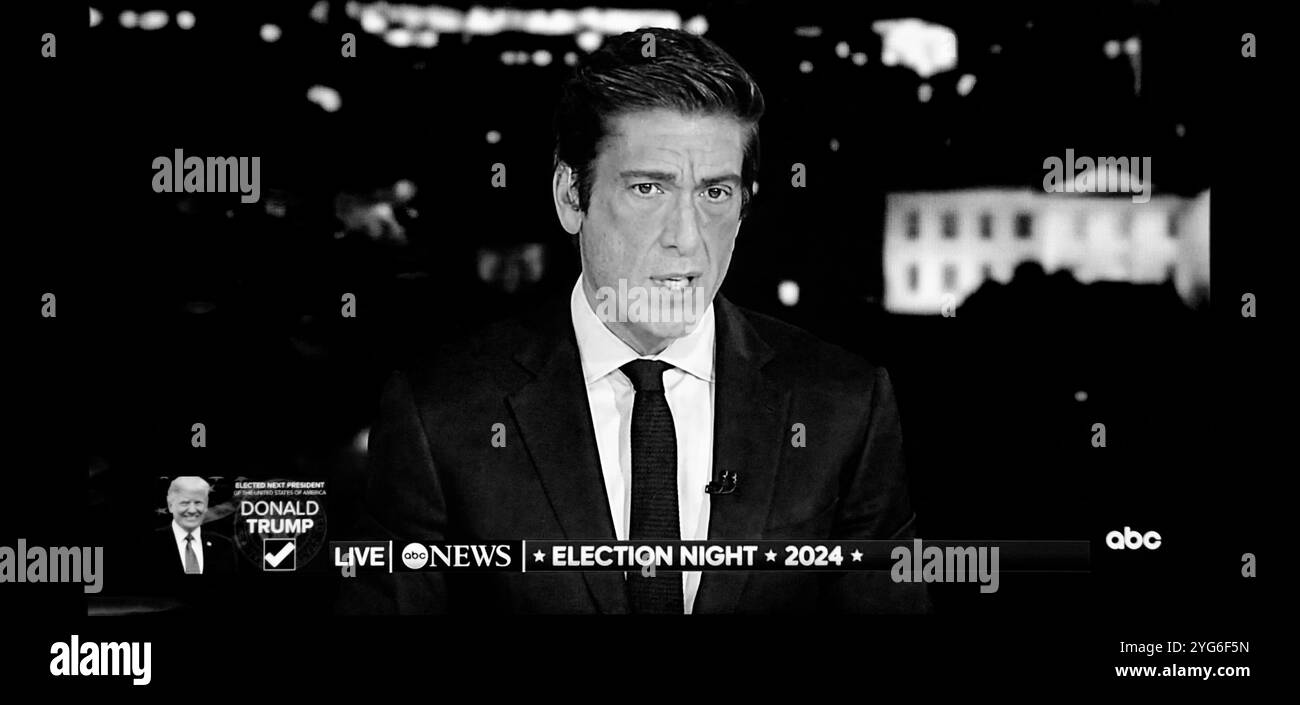 Computer screen shot of ABC-TV news anchor David Muir reporting on the ...