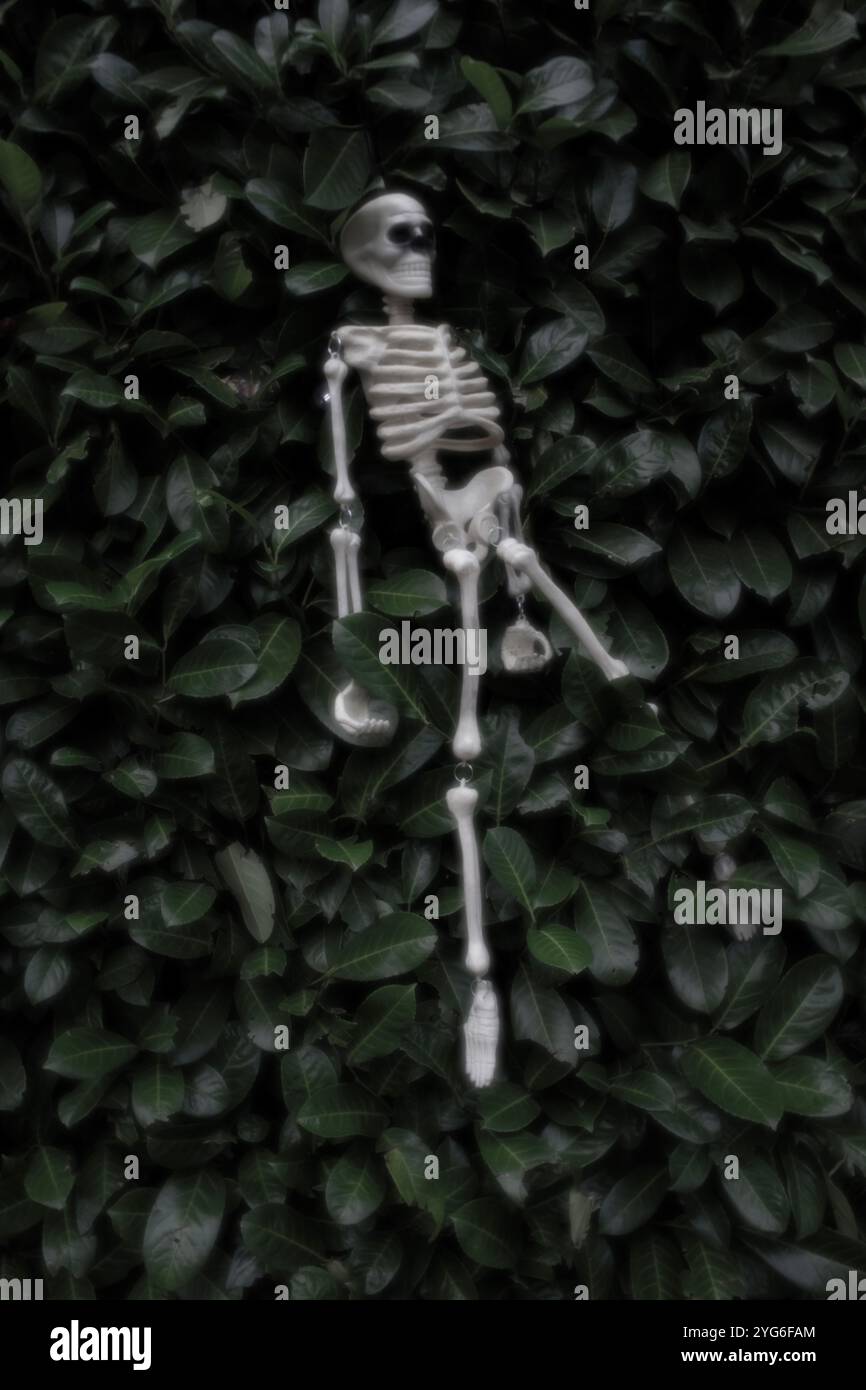 Hanging skeleton hi-res stock photography and images - Alamy