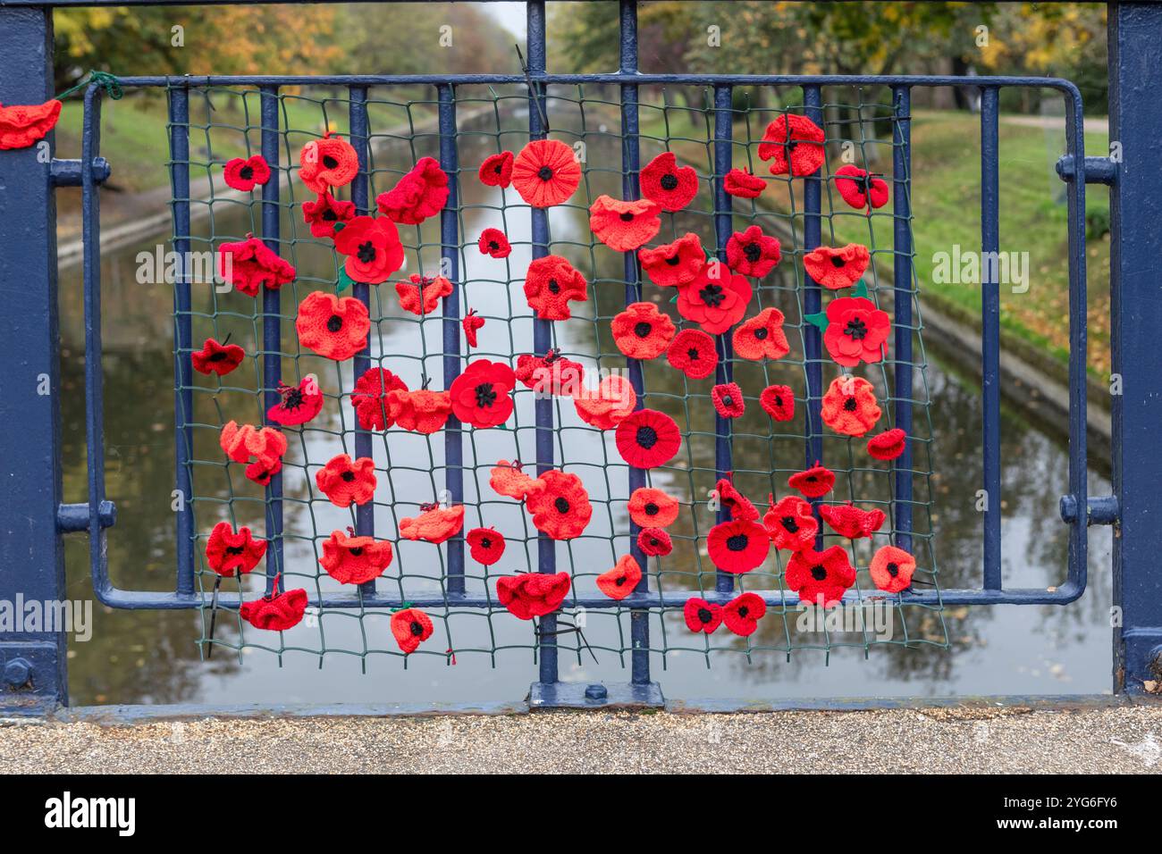 Knitted woolen poppies on Ladies Walk Bridge over The Royal Military ...