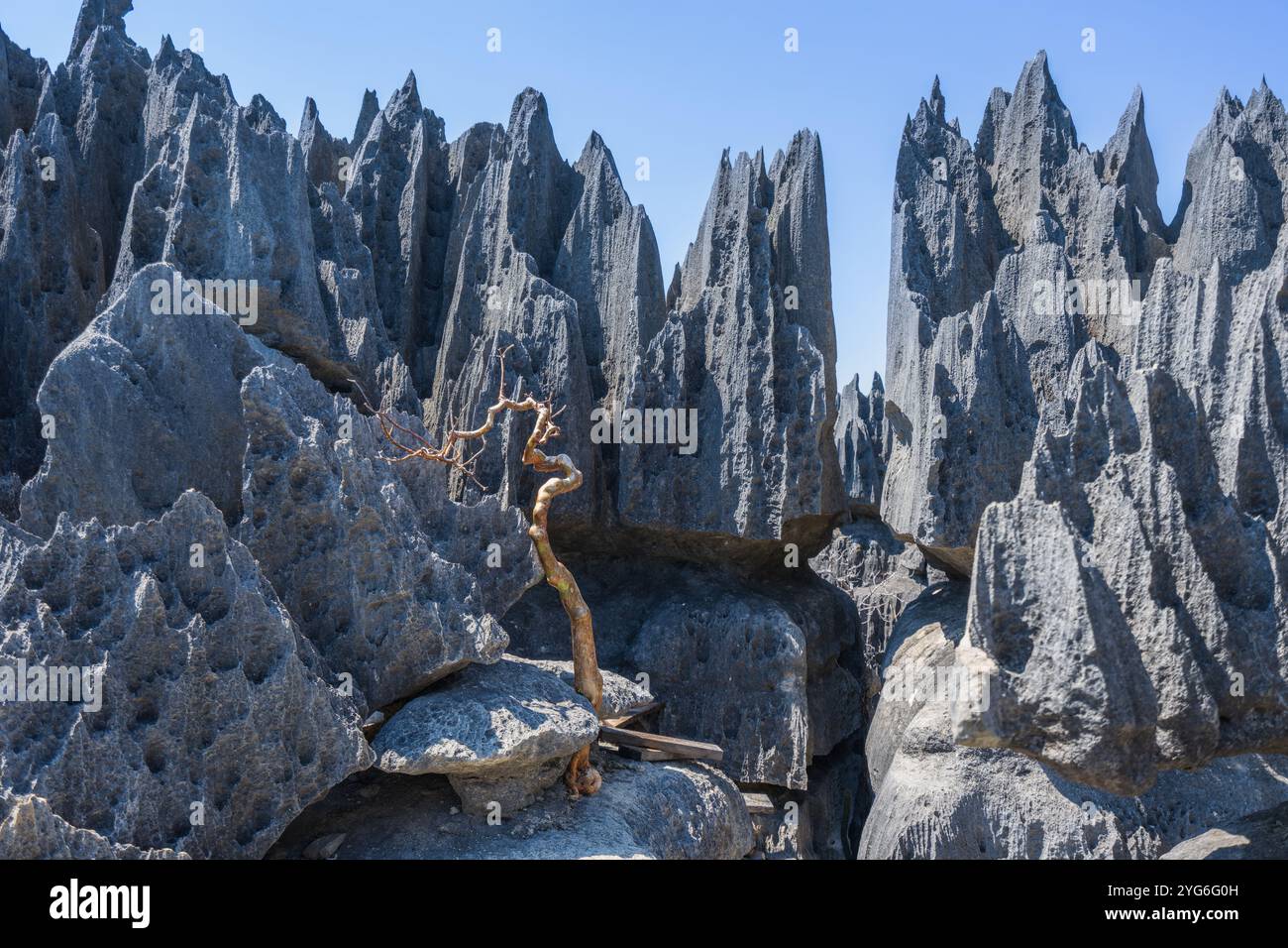Towering limestone karst formations create the breathtaking landscape ...