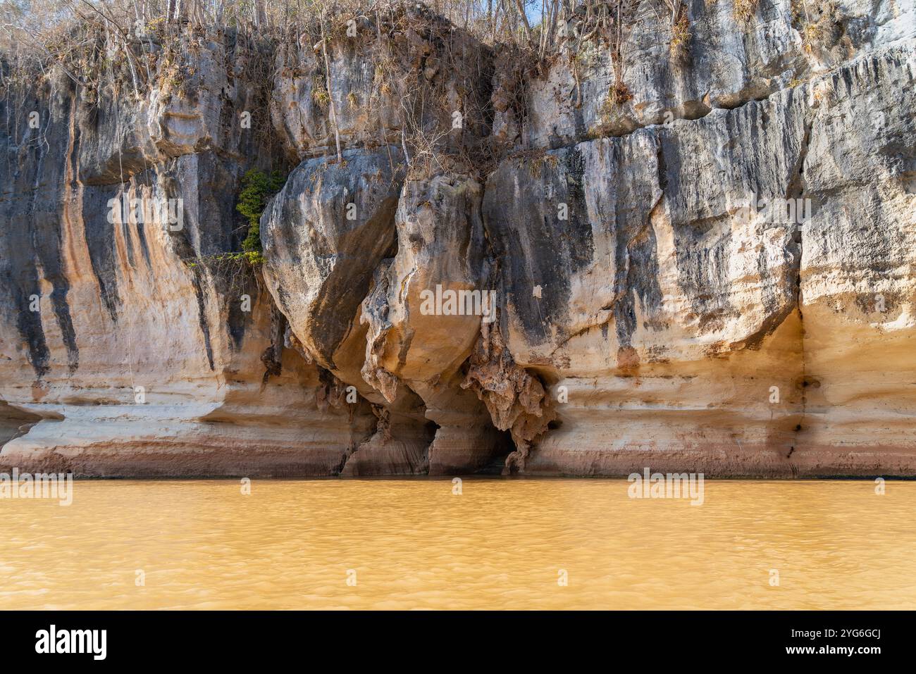 Limestone cliffs with unique erosion patterns and lush vegetation ...