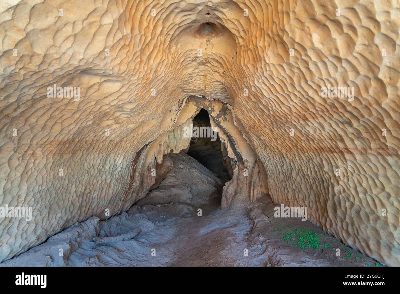 Intricate limestone formations inside a cave, showcasing stalactites ...