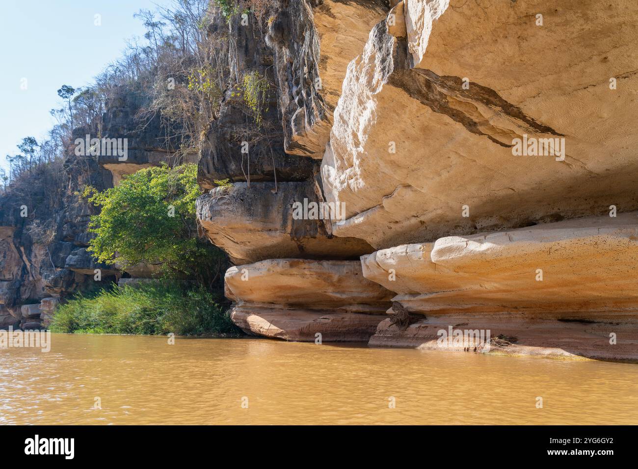 A view of the Manambulo River in Madagascar, showing the unique ...
